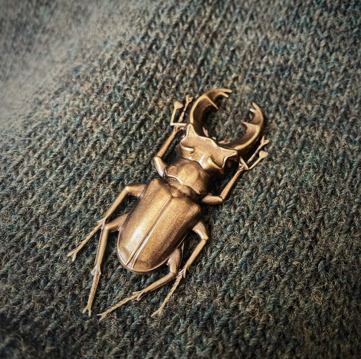 Stag Beetle Brooch - Bronze | Antique Press | Tribe Yarns, London